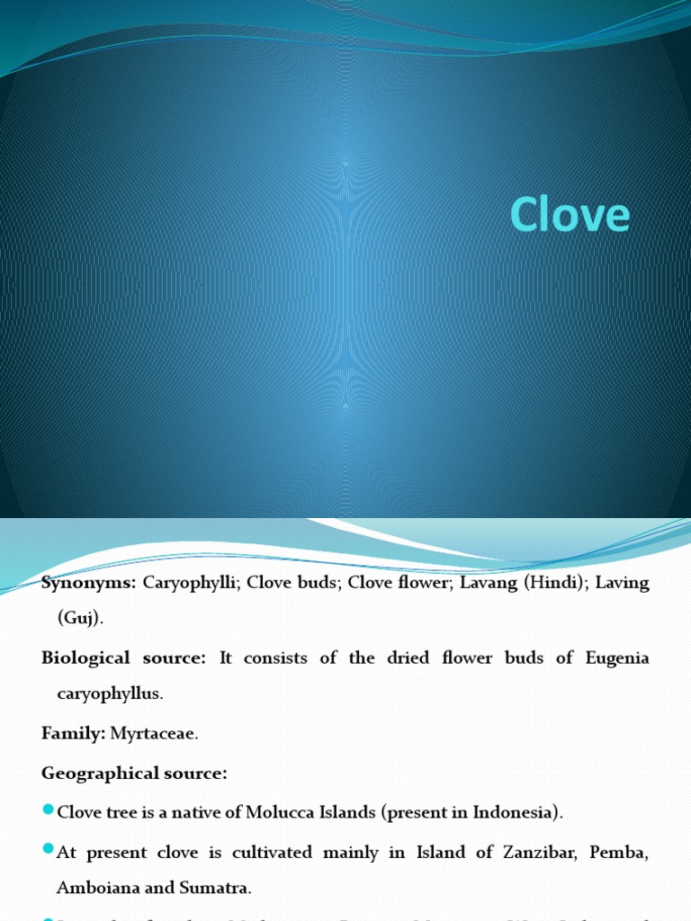 Clove | PDF | Cinnamon | Clove