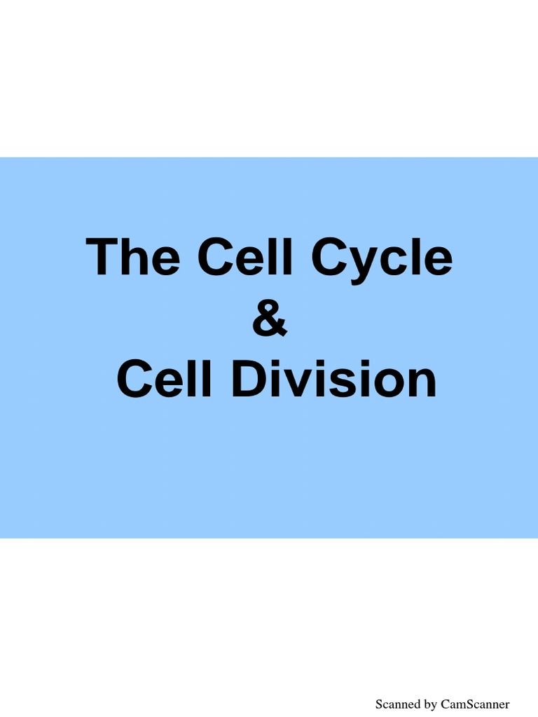 Cell Cycle and Cell Division | PDF