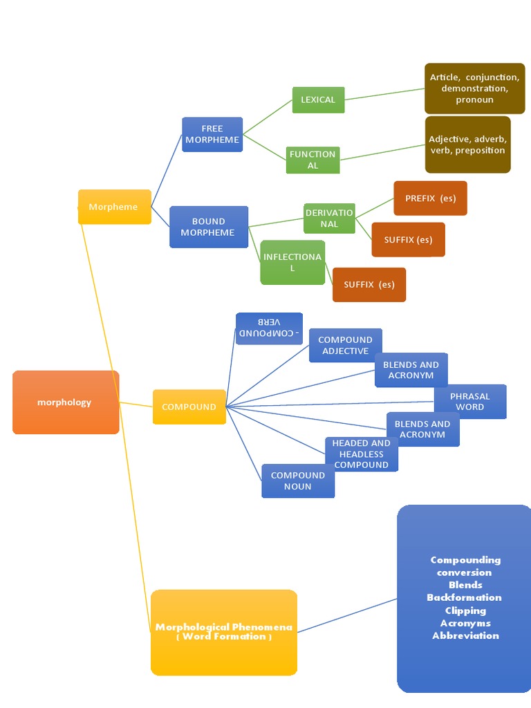 Mindmap Morphology | PDF | Morphology (Linguistics) | Linguistics