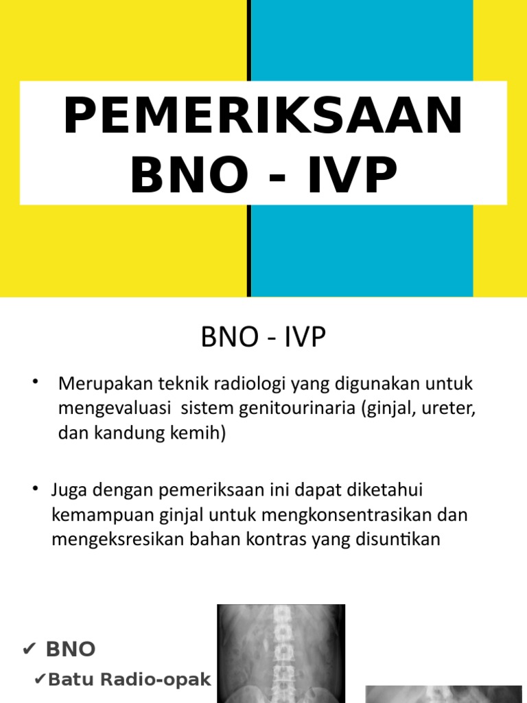 Pemeriksaan Bno - Ivp | PDF