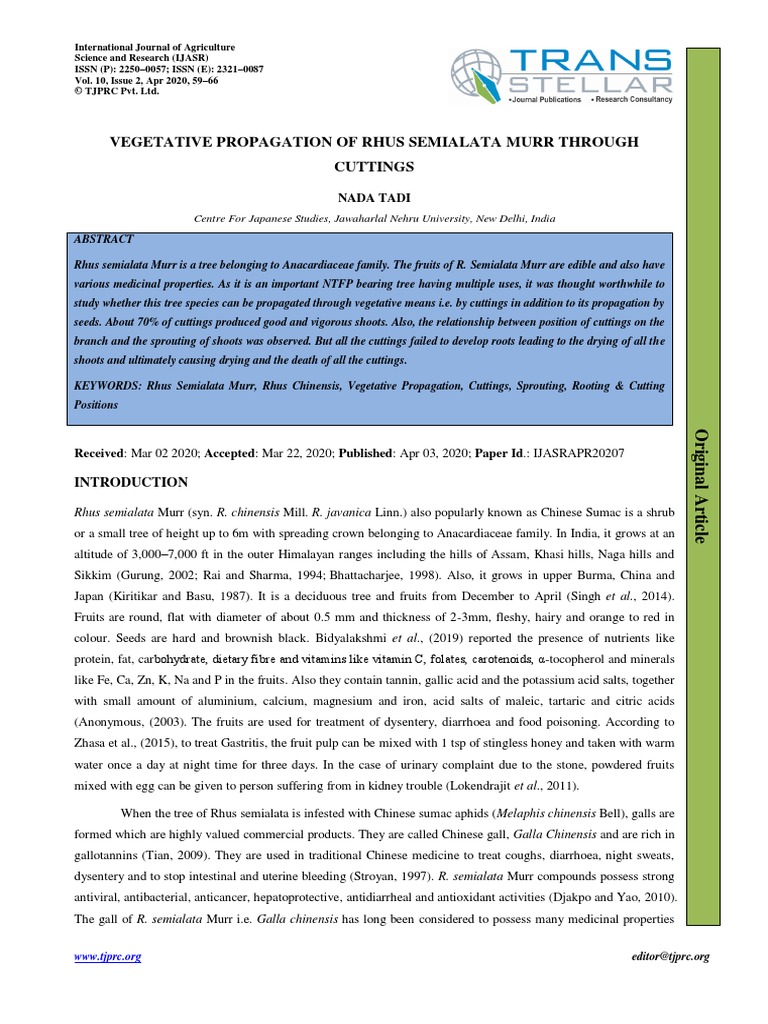 Vegetative Propagation of Rhus Semialata Murr Through Cuttings | PDF ...