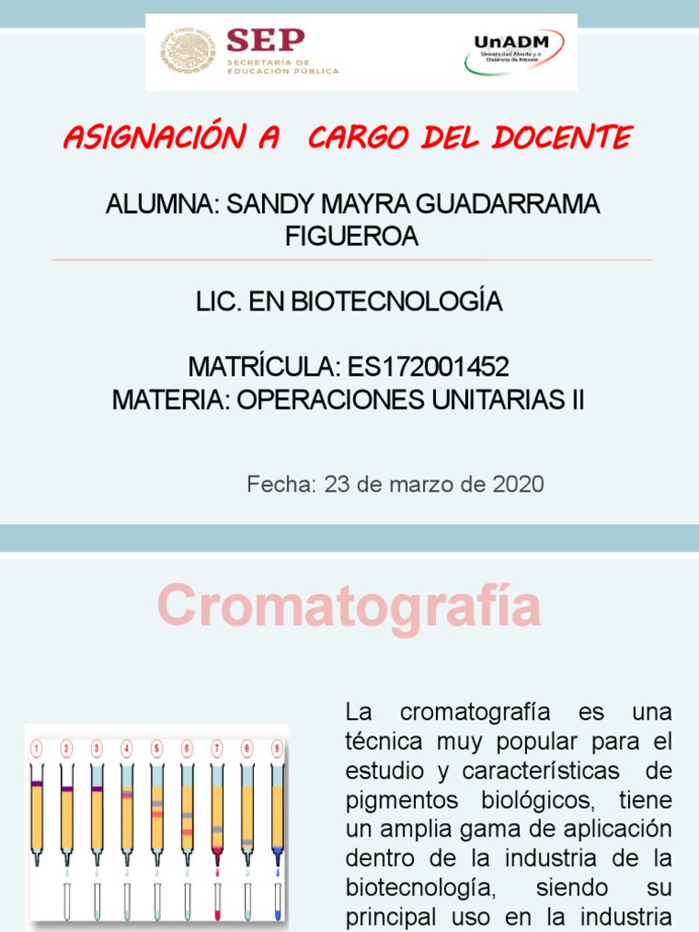 Bou2 Acdl U3 Sagf | PDF | Cromatografía | Naturaleza