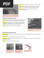 Linea de Feiss, Linea de Helbing | PDF | Pie | Anatomía humana