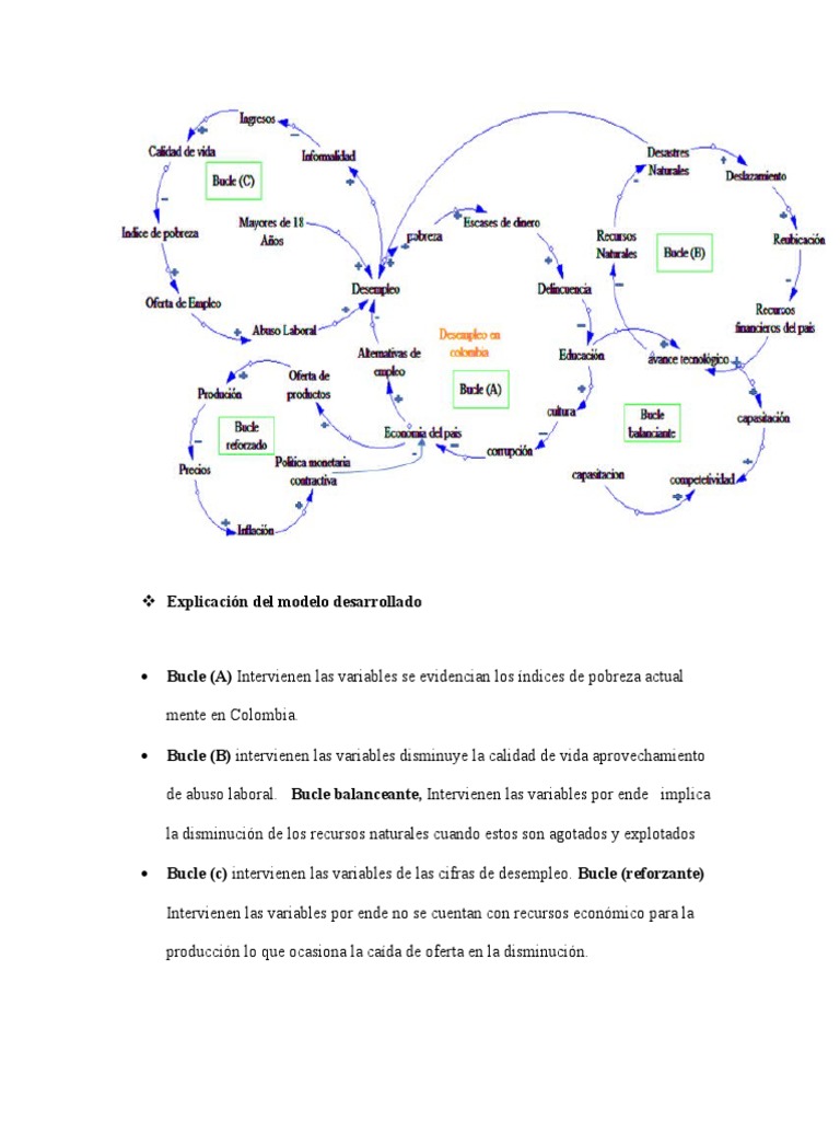 Diagrama Causal Explicación Del Modelo Desarrollado | PDF
