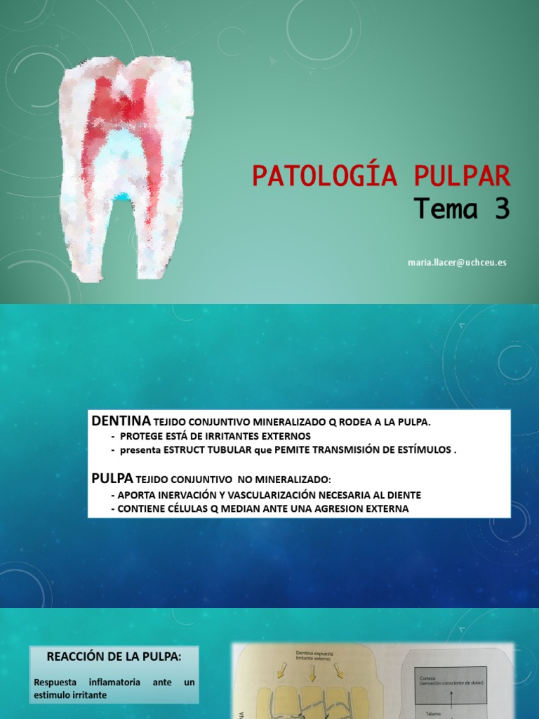 Tema 3. PATOLOGIA PULPAR PDF | PDF | Inflamación | Dolor