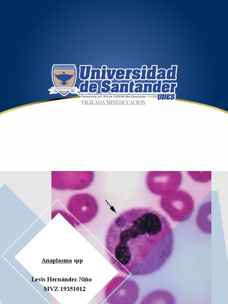 Anaplasma spp: Diagnóstico y Tratamiento | PDF | Las bacterias | Medicina