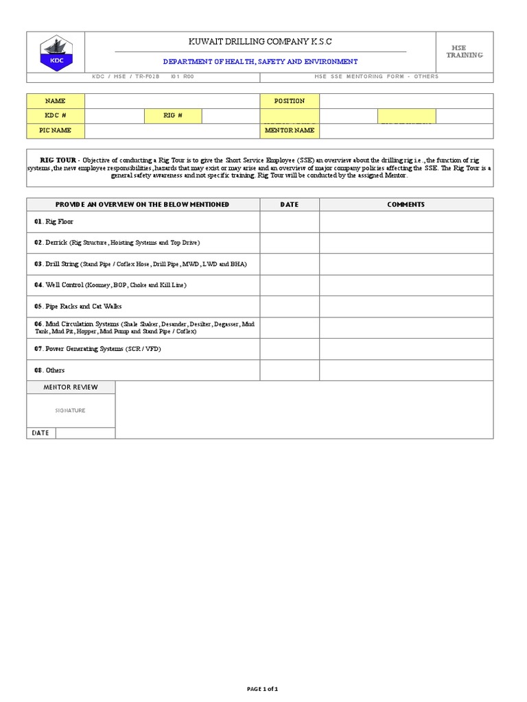02B - TR - HSE SSE Assessment Form (Others) | PDF