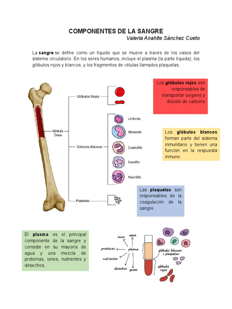Componentes de La Sangre | PDF
