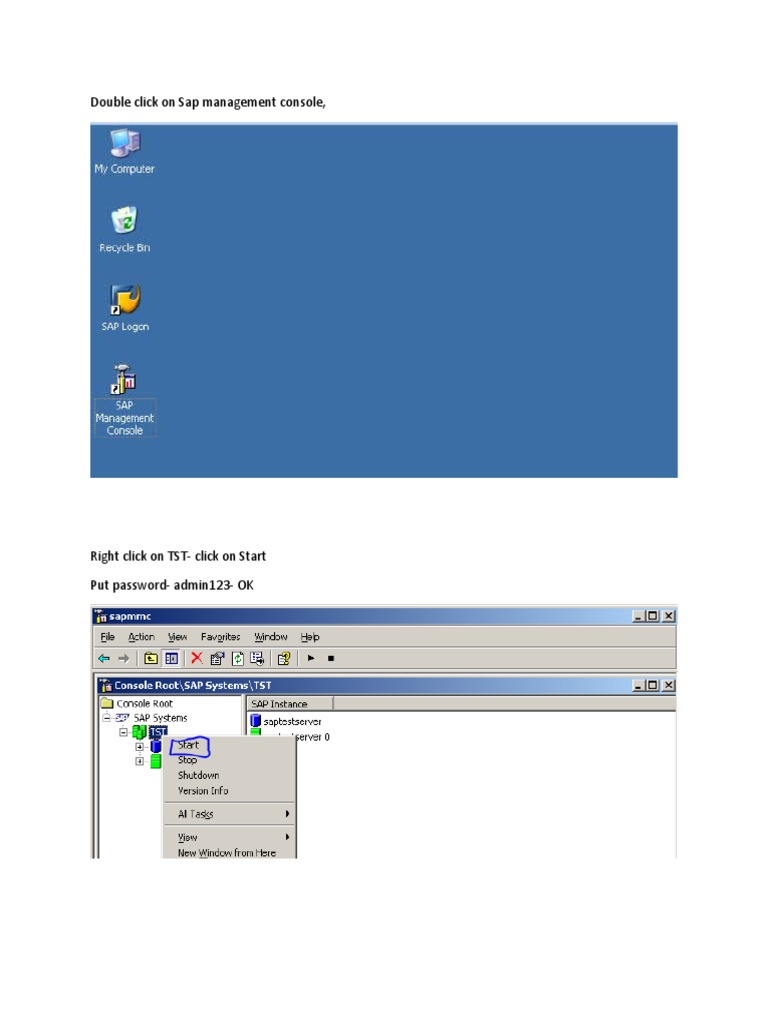 SAP Server Startup Guide | PDF | Finance & Money Management