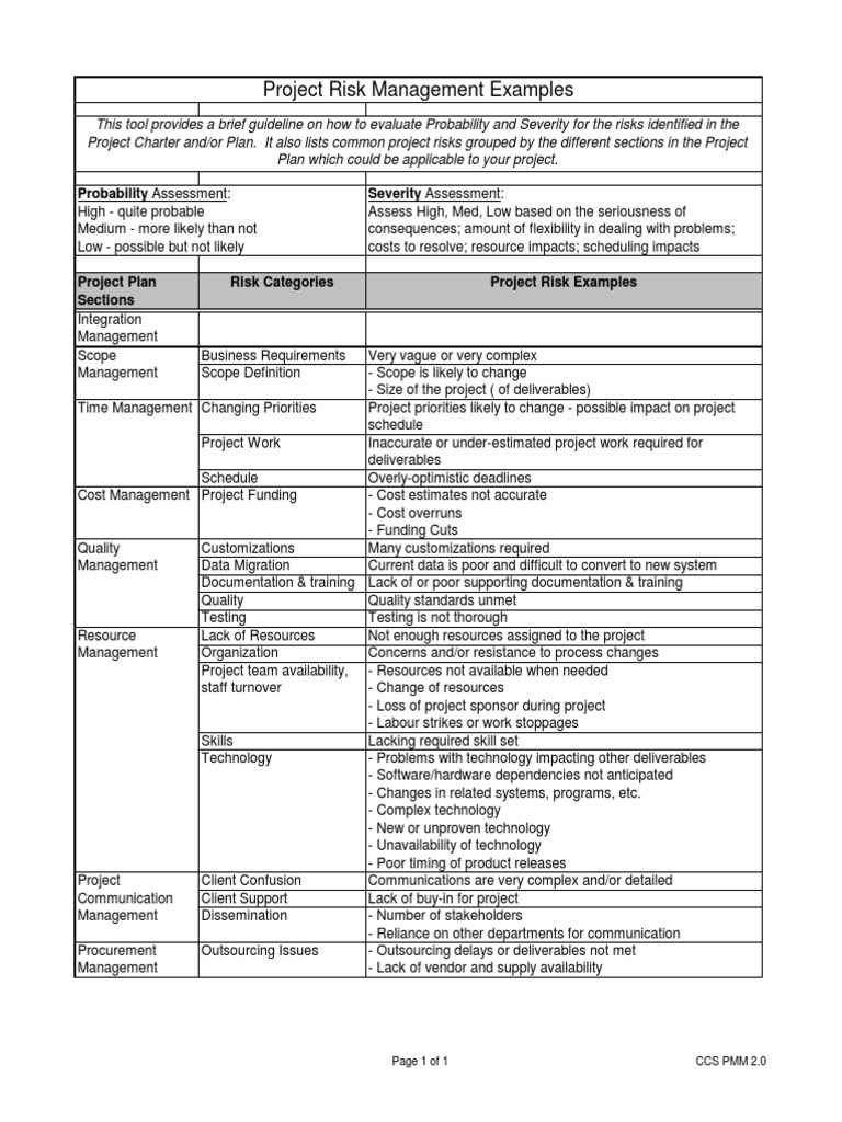 Project Risk Management Examples: Severity Assessment: Probability ...
