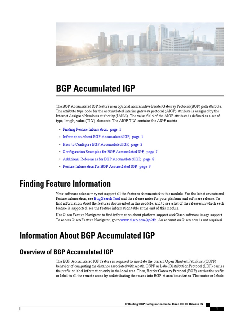 BGP Accumulated IGP: Finding Feature Information | PDF | Ip Address ...