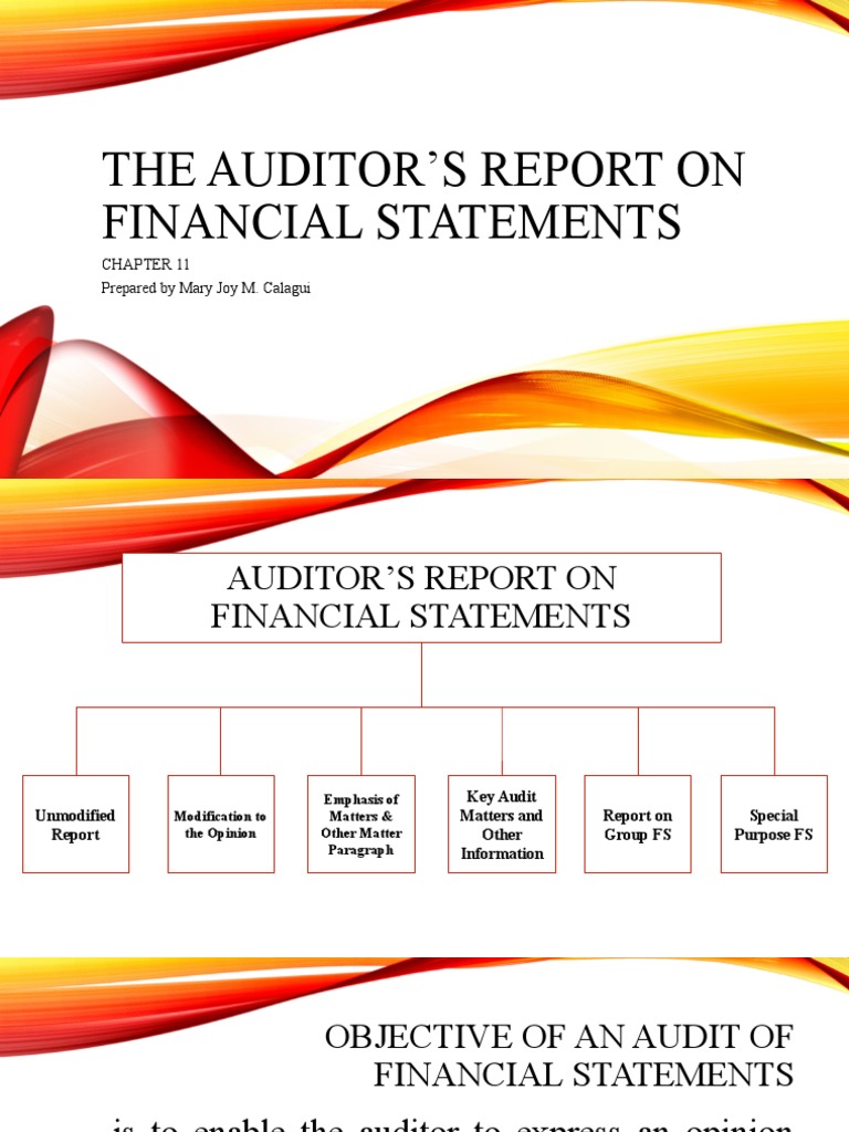 Auditor's Report on Financial Statements | PDF | Financial Audit ...
