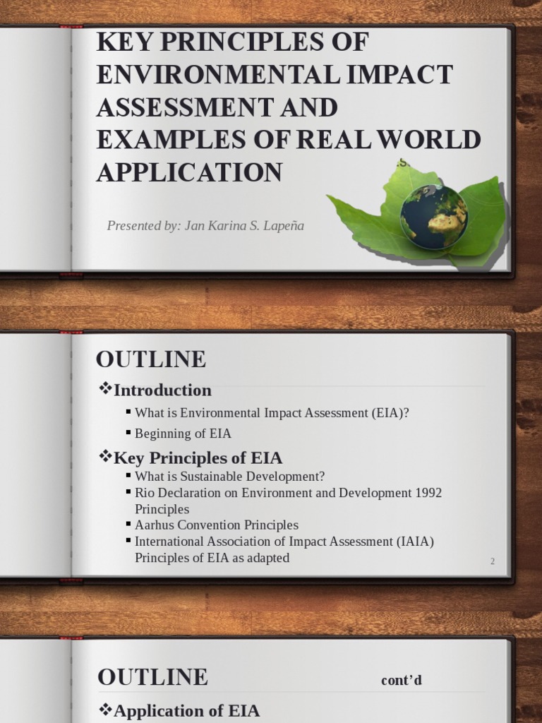 Eia - Key Principles | PDF | Environmental Impact Assessment ...
