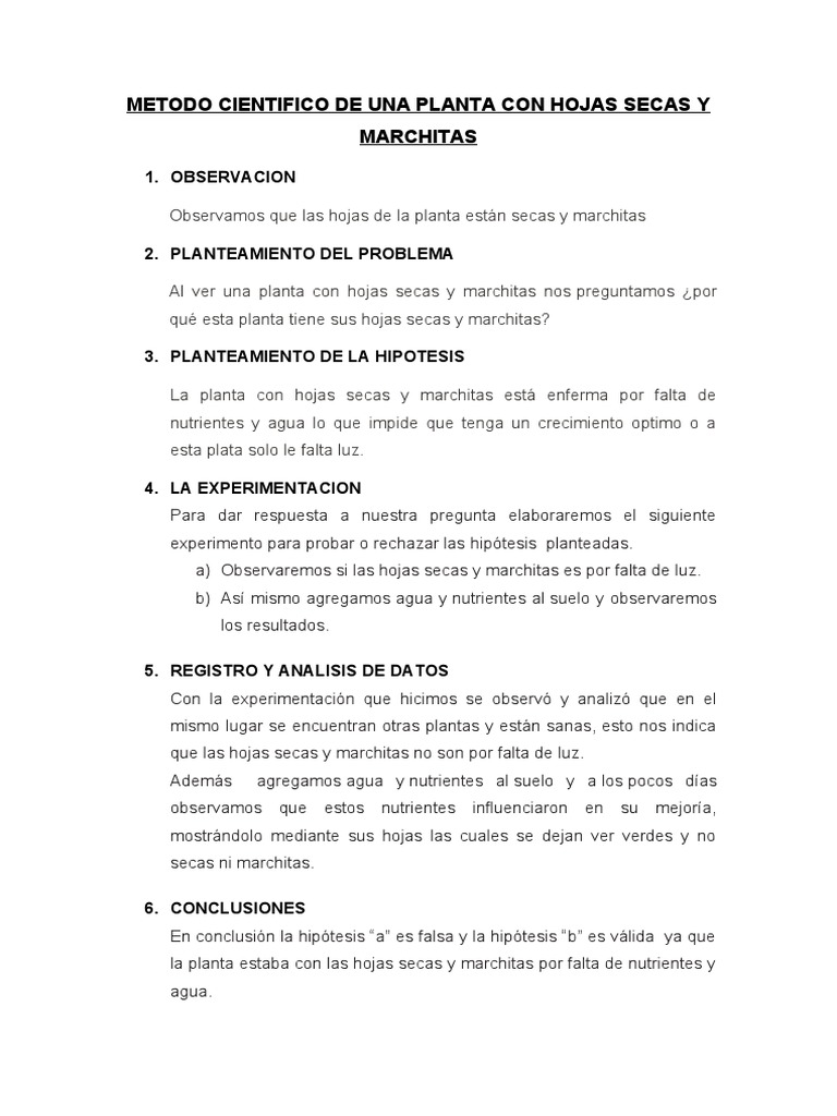 Método Científico: Planta con Hojas Marchitas | PDF