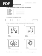 CBSE Class 5 Science Worksheets (13) - Skeletal and Nervous System ...