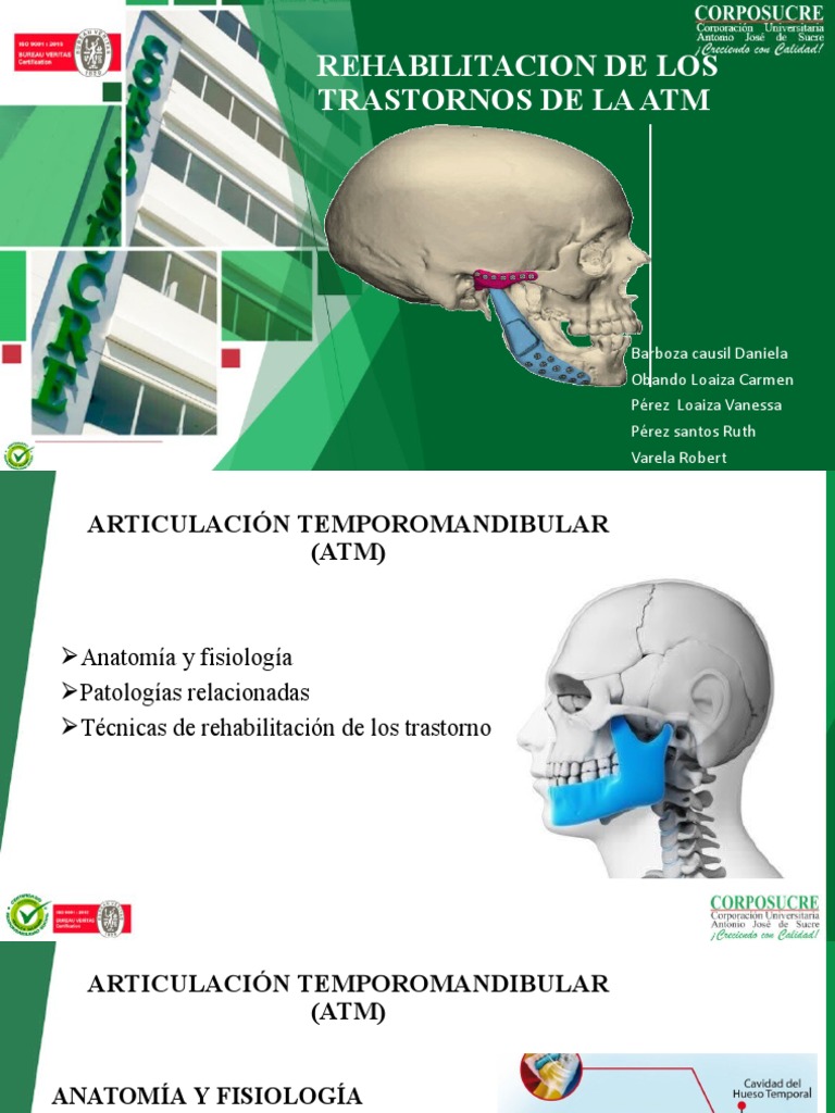 Exposicion de ATM | PDF | Articulación | Sistema musculoesquelético