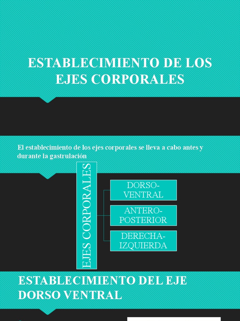 Establecimiento de Los Ejes Corporales | Descargar gratis PDF ...