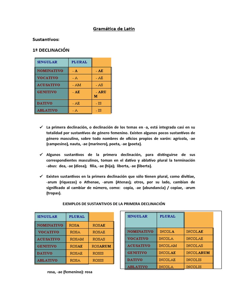 Latin Gramática | PDF | Adjetivo | Sustantivo