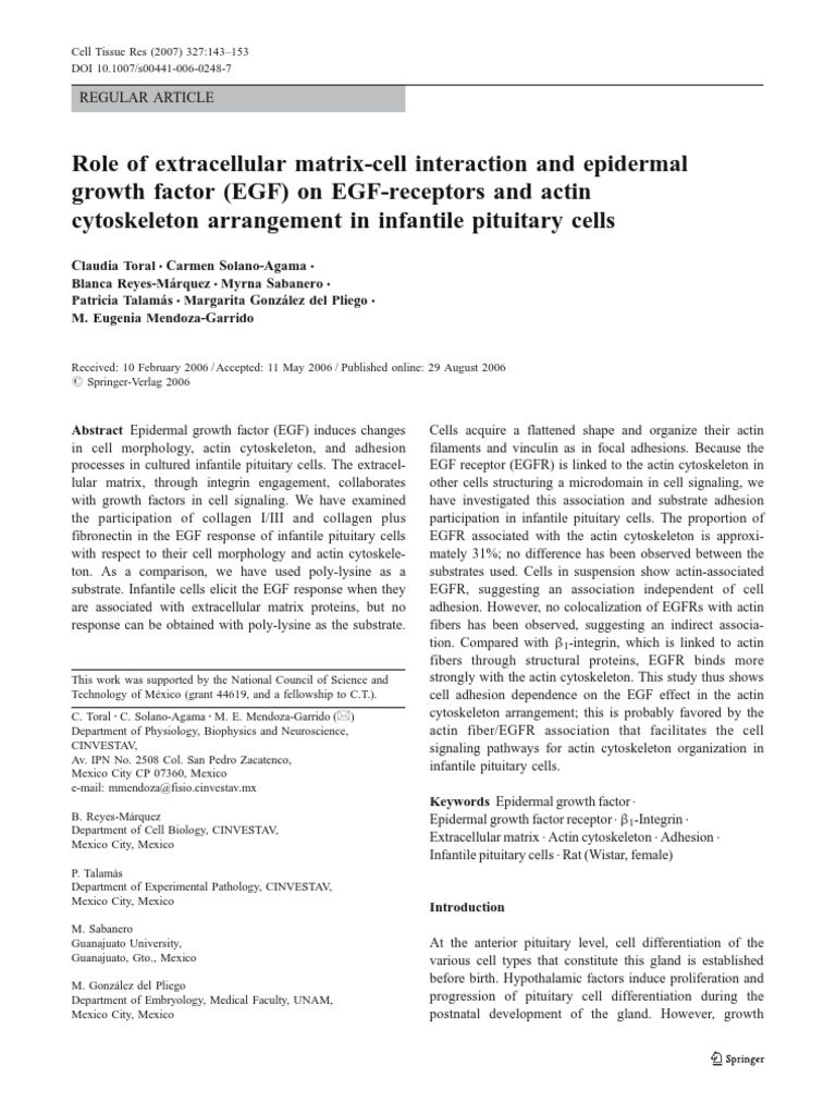Citoesqueleto Pituitaria | PDF | Cell Adhesion | Cytoskeleton