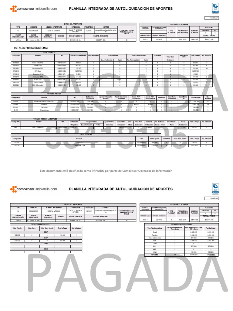 Ejemplo Planilla Pila | PDF | Pensión | Las condiciones de trabajo