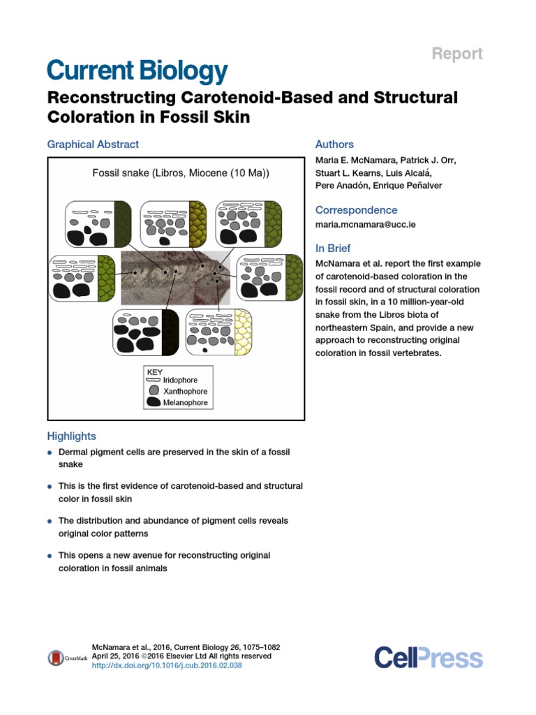 Reconstructing Carotenoid-Based and Structural Coloration in Fossil ...
