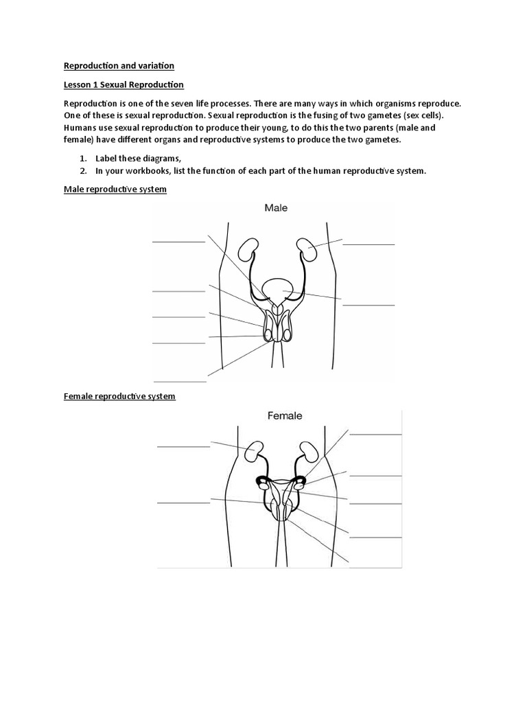 Reproduction and Variation Lesson 1 Sexual Reproduction | PDF ...