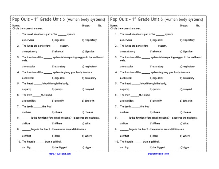 1st Grade Human Body Systems Quiz | PDF | Blood | Human Body