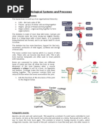 Gummy Bear Lab | PDF | Anatomical Terms Of Location | Animal Physiology