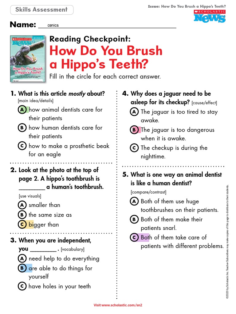 SN2-Brush Hippos Teeth-SKILL-Checkpoint | PDF | Dentistry | Mouth