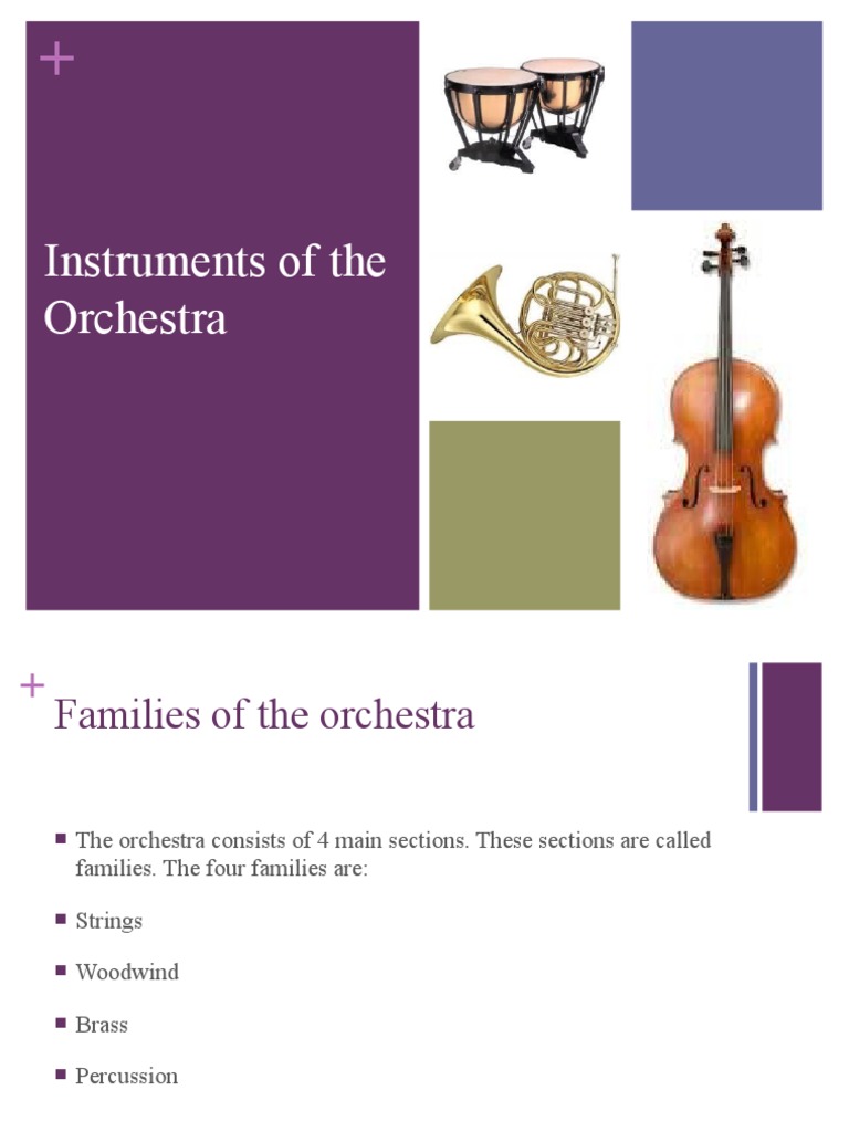 Highest Woodwind Instrument: Piccolo | PDF | Woodwind Instruments ...