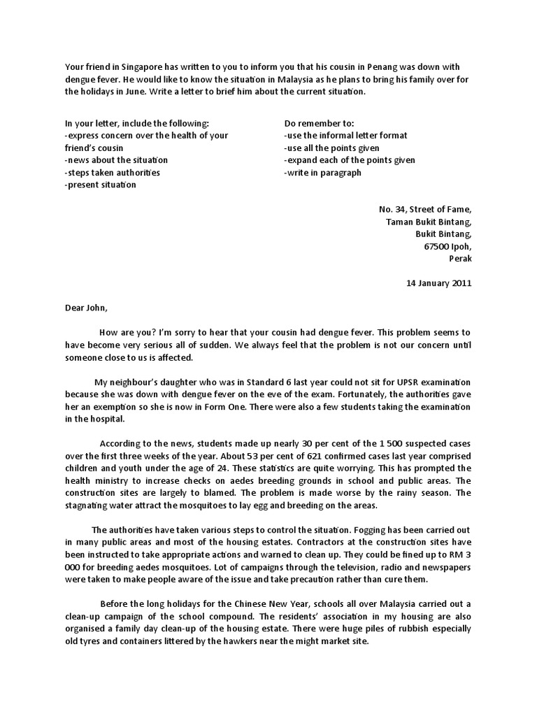 Informal Letter Dengue | PDF | Wellness | Medical