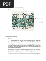 Empulur Ubi Kayu | PDF