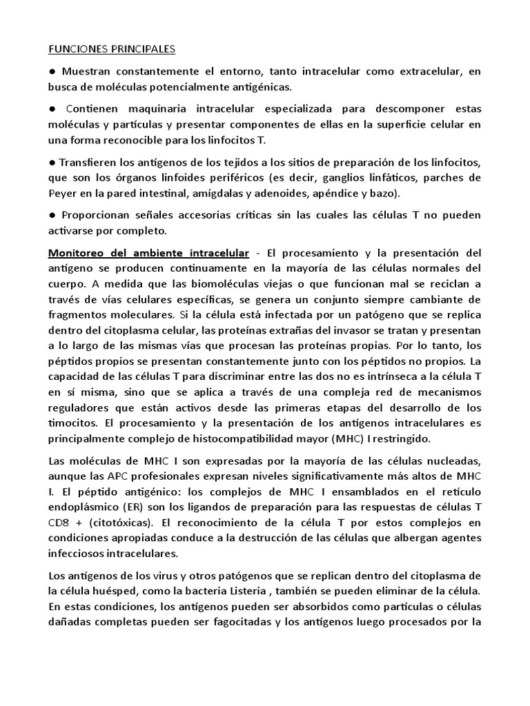 Células Presentadoras de Antígeno Word | PDF | Complejo mayor de ...