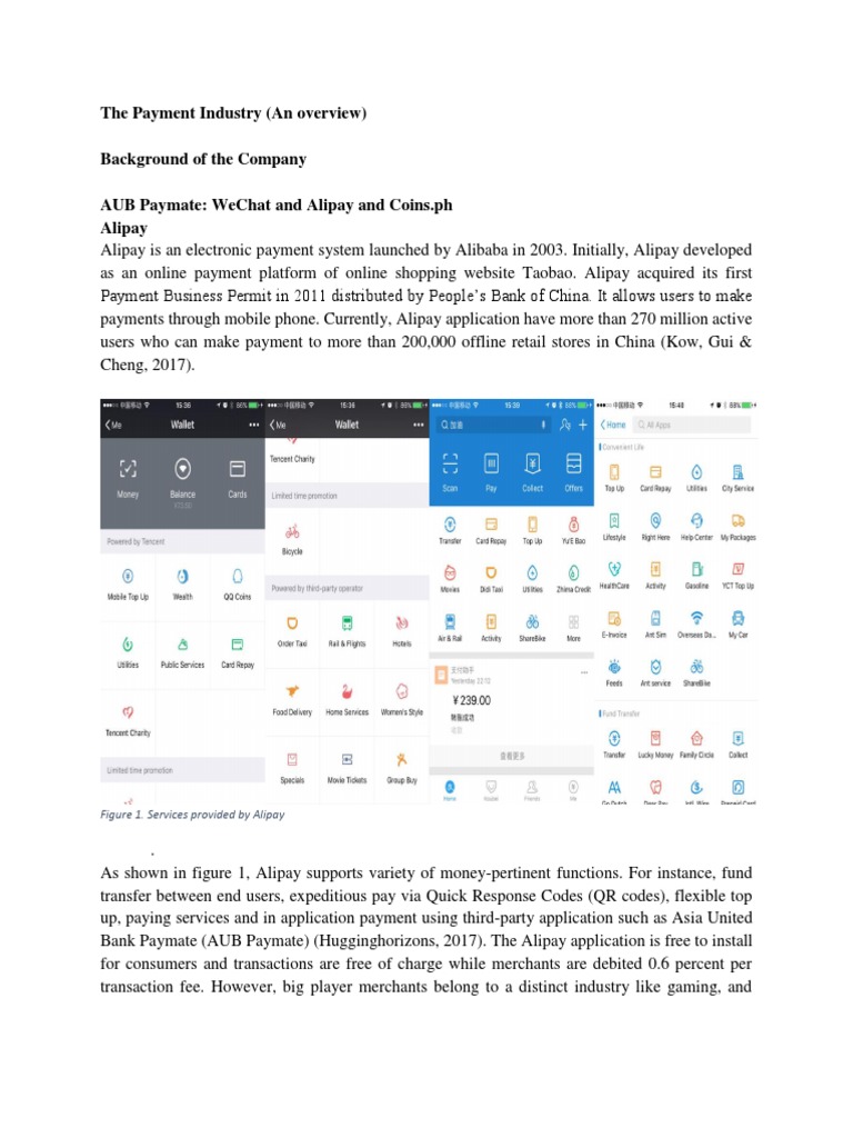 The Payment Industry | PDF | We Chat | Service Industries
