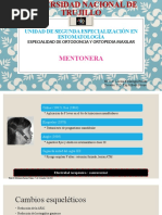 Arco Transpalatino ATP | PDF | Ramas de Odontología