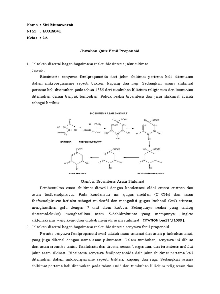 Biosintesis Fenilpropanoid dan Turunannya | PDF | Sains & Matematika