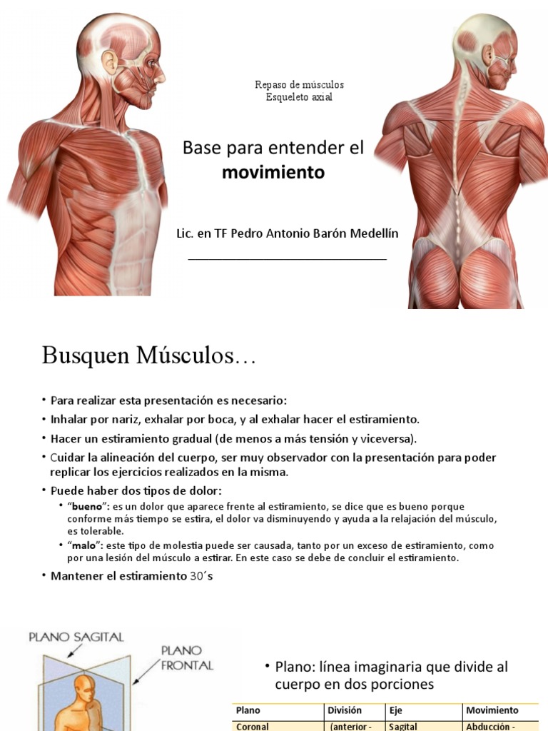 Repaso de Músculos - Axial | PDF