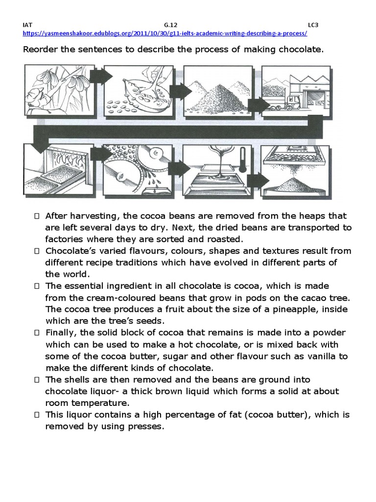 Chocolate Production Process Explained | PDF