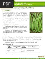 Covo Rugare Gold PLUS | PDF | Fertilizer | Seed