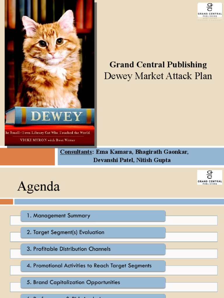 Dewey Market Attack Plan: Grand Central Publishing | PDF | Marketing ...