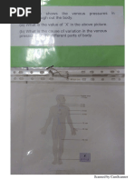 Tenderness Grading PDF | PDF | Medical Specialties | Musculoskeletal System