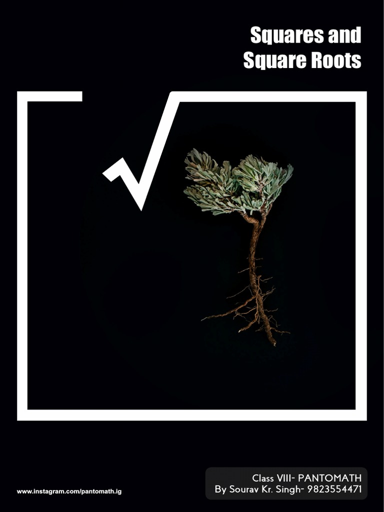 Squares and Square Roots - Class 8 - Notes - PANTOMATH | PDF | Division ...