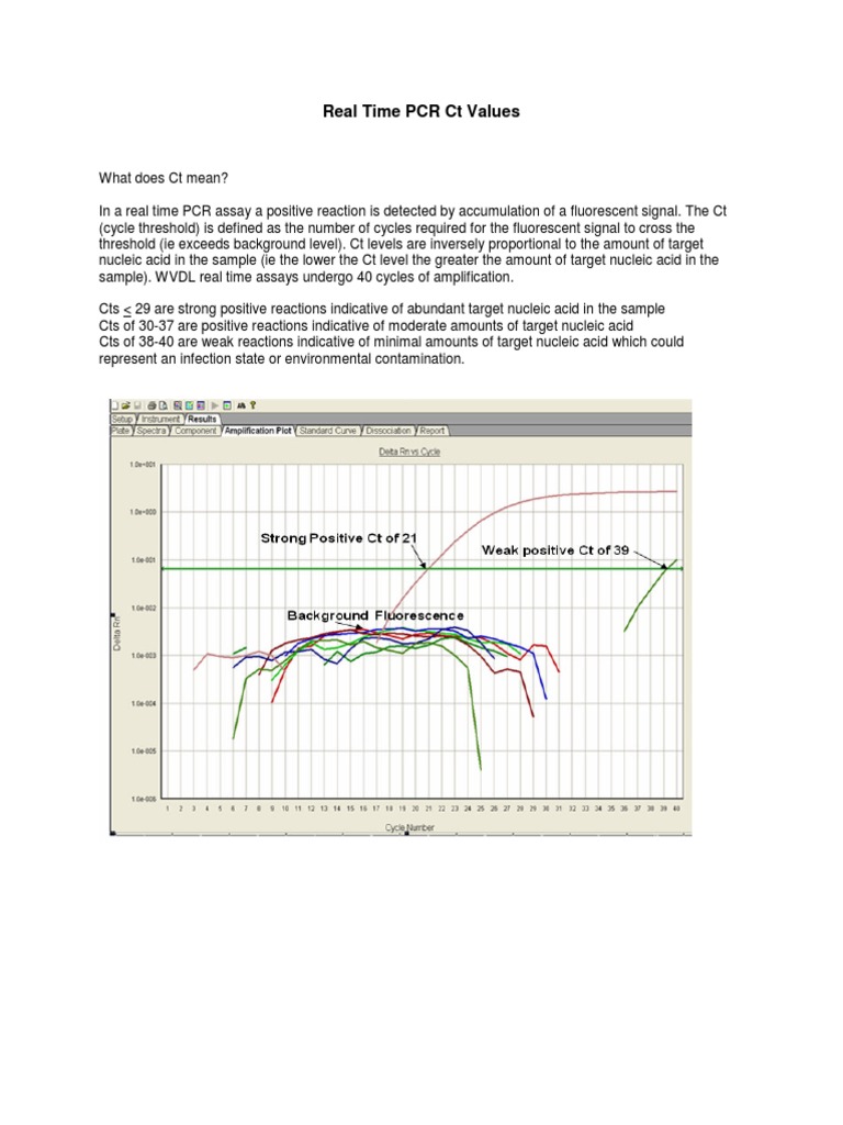 Real Time PCR Ct Values Explained | PDF