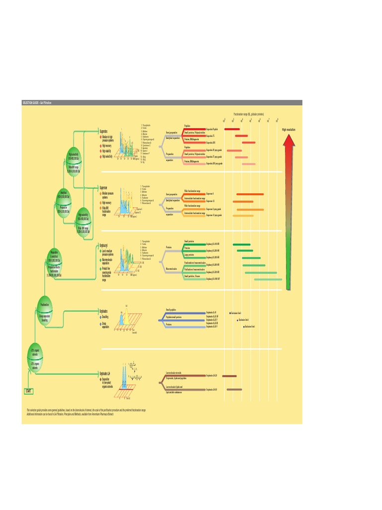 Selection Guide for Gel Filtration Chromatography - An Overview of ...