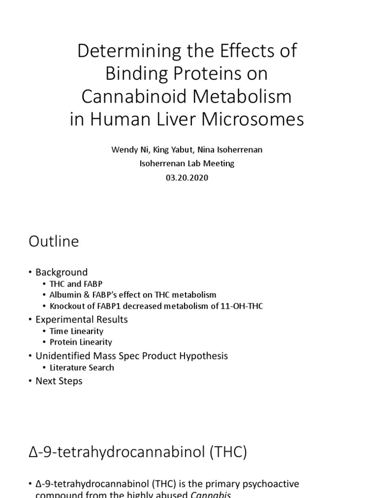 Determining The Effects of Binding Proteins On Cannabinoid Metabolism ...