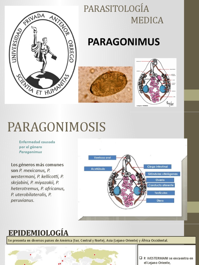 Paragonimiasis: Epidemiología y Ciclo Vital | PDF | Tos ...