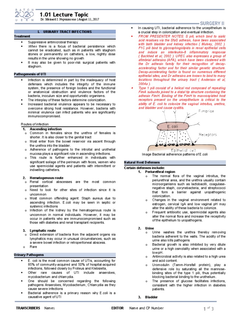 (SURG) GU Infections - Part 2 | PDF | Urinary Tract Infection | Health ...