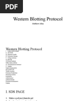 Bio-Rad Mini SDS-PAGE Gel Protocol | PDF | Gel Electrophoresis | Chemistry