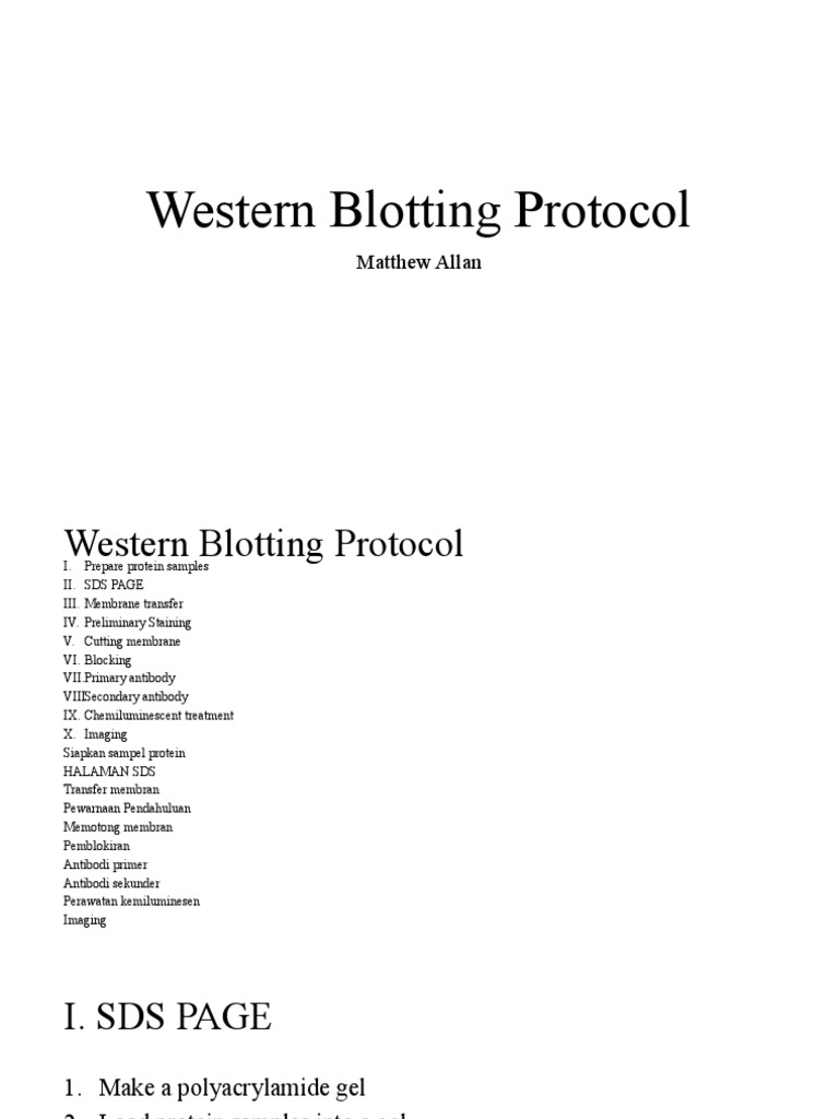 Western Blotting Protocol | PDF | Gel Electrophoresis | Western Blot