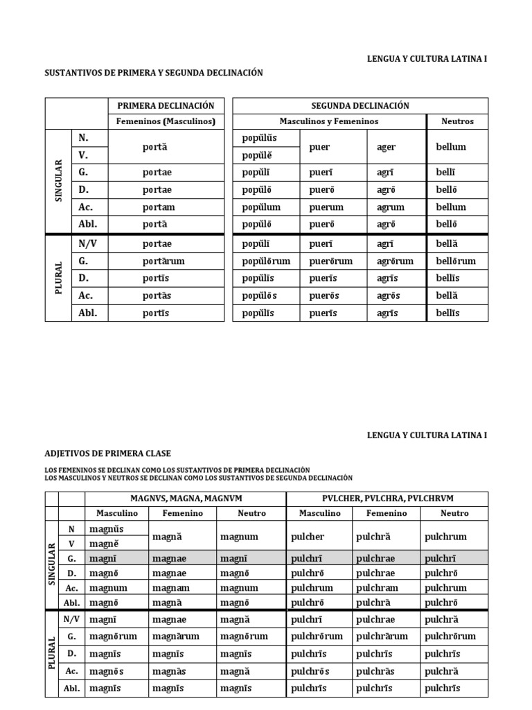 Declinaciones y Adjetivos en Latín | PDF | Sustantivo | Plural